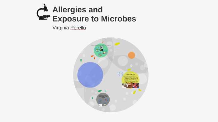 Allergies and Exposure to Microbes by Virginia Perelló on Prezi