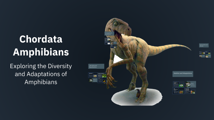 Chordata Amphibians by Tyler Tholen on Prezi