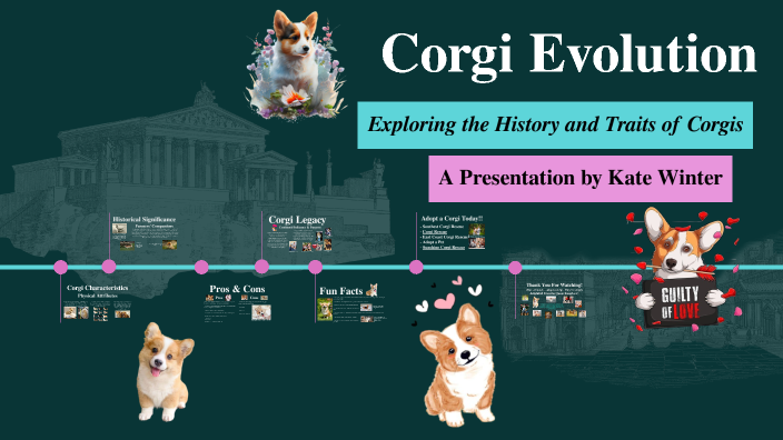 Corgi Evolution by Kate Winter on Prezi