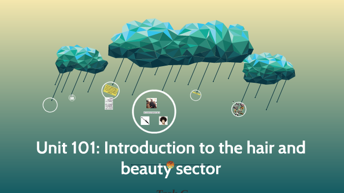 Unit 101 C: Introduction to the hair and beauty sector by Marigold ...