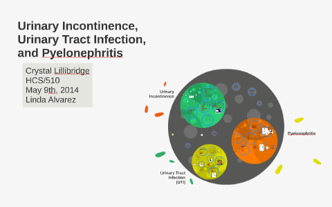 Urinary incontinence, Urinary tract infection, and Pyeloneph by Crystal ...