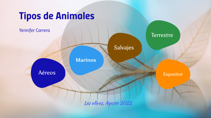 Tipos de Animales by Yennifer Yliana Carrera Castillo on Prezi