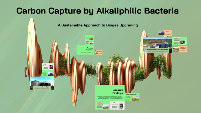 Carbon Capture by Alkaliphilic Bacteria by 銓佑 張 on Prezi