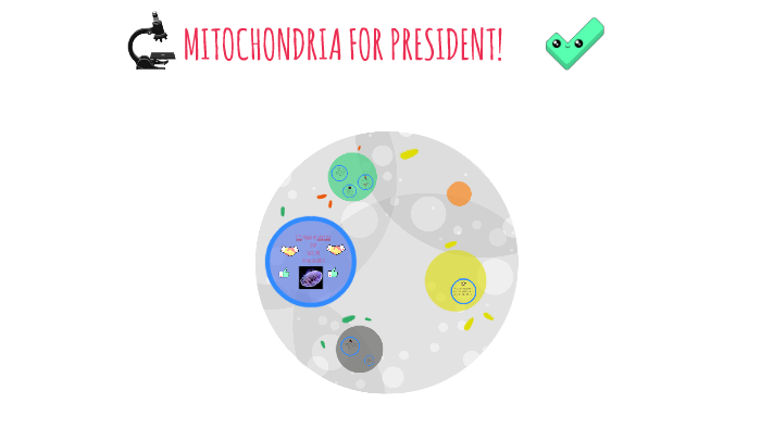 MITOCHONDRIA FOR PRESIDENT! by Mona Houjazy on Prezi