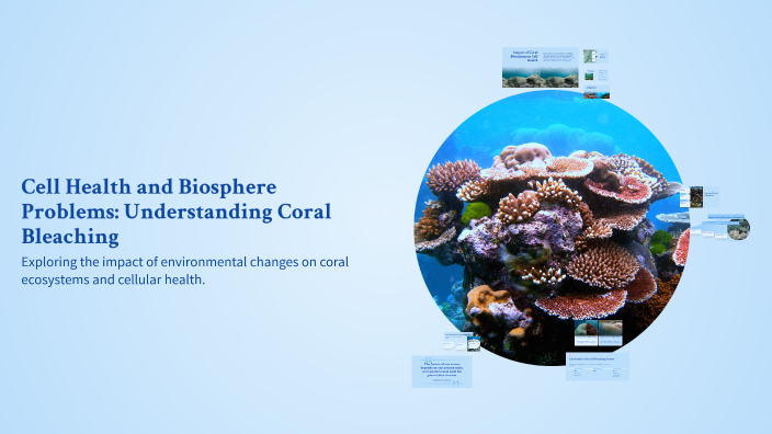 Cell Health and Biosphere Problems: Understanding Coral Bleaching by ...
