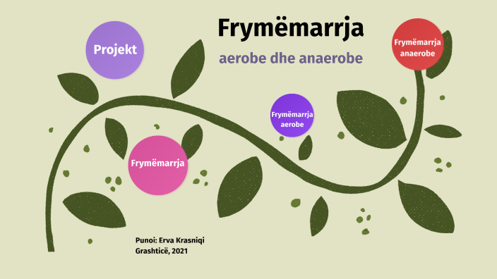 Frmëmarrja aerobe dhe anaerobe by Amar Krasniqi on Prezi