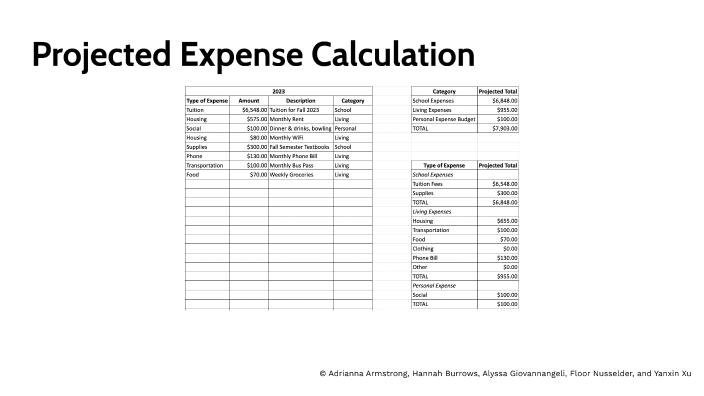 THRK Projected Expense Calculation by Flo Nusselder on Prezi