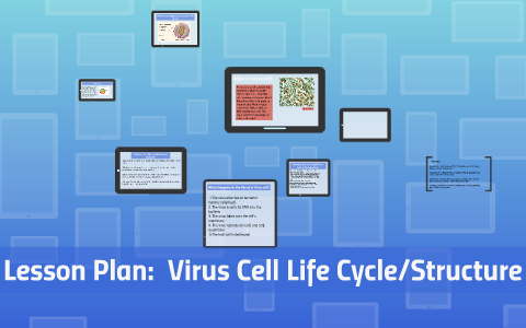 Lesson Plan: Virus Cell Life Cycle/Structure by Kristine Naoe on Prezi