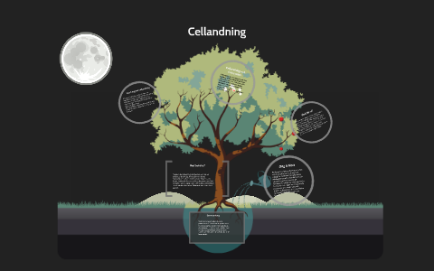 Cellandning by Pär Hammar on Prezi