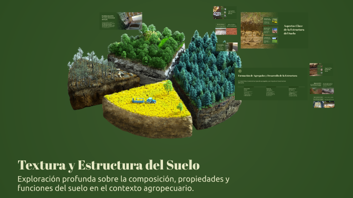 Textura y Estructura del Suelo by Sofia Abate on Prezi