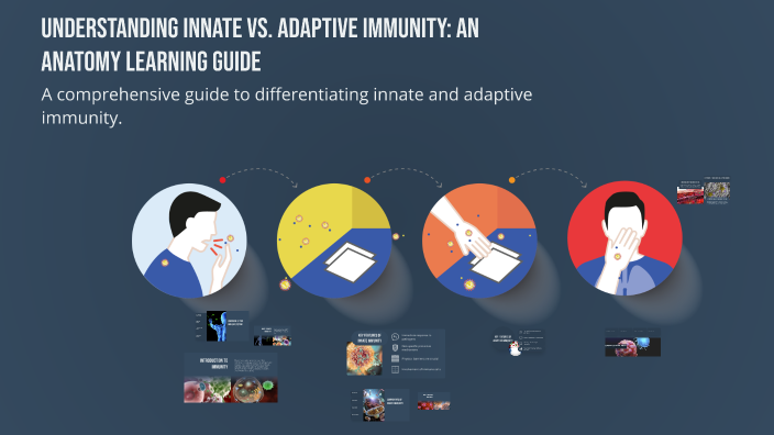 Understanding Innate vs. Adaptive Immunity: An Anatomy Learning Guide ...