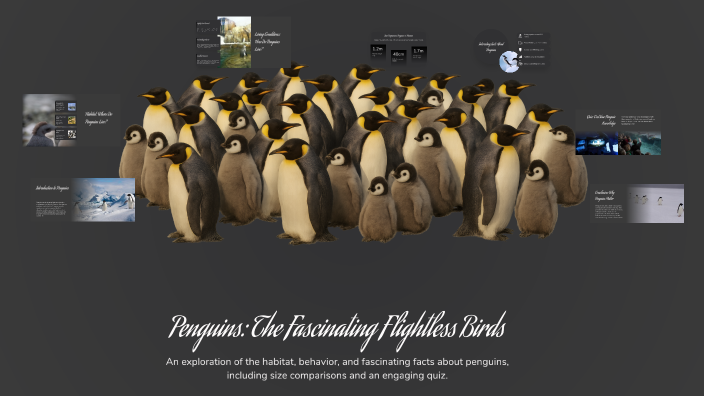 Penguins: The Fascinating Flightless Birds by Marks Neverzevskis on Prezi
