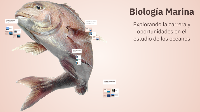 Biología Marina kevin villeda 3 A by Colegio San Benito on Prezi