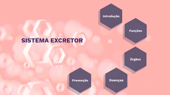 sistema excretor by gideao dutra on Prezi