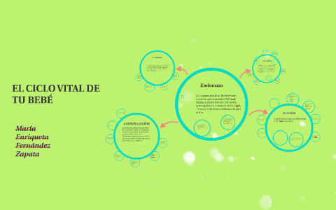 El CICLO VITAL DE TU BEBÉ by María Fernández on Prezi