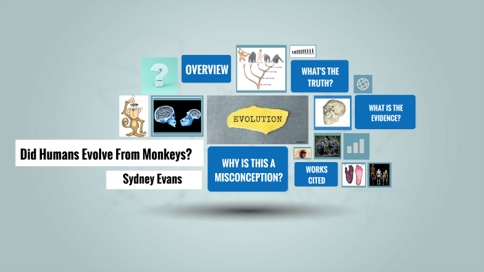 Evolution Misconception Project by Sydney Evans on Prezi