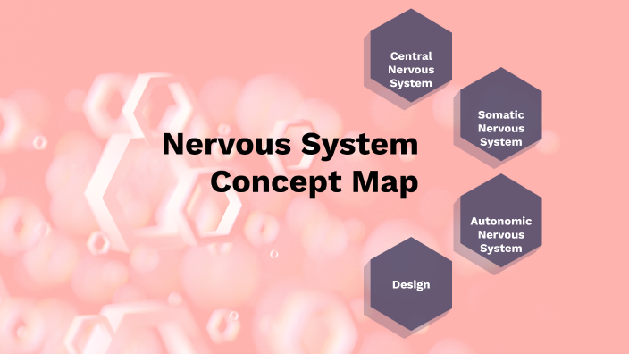 Nervous System Concept Map by Patrick Simon on Prezi