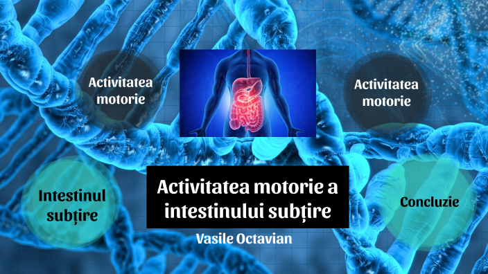 Activitatea motorie a intestinului subtire by Octavian Vasile on Prezi