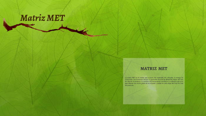 Matriz MET by on Prezi