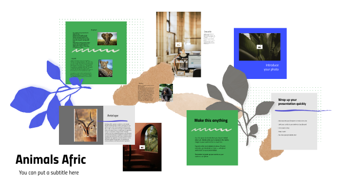 Animals by Ксения Силкина on Prezi