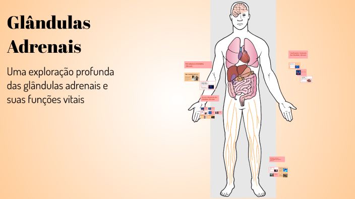 Glândulas Adrenais by Gabriel Henrique on Prezi