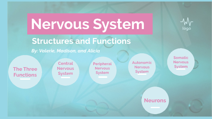 Nervous System Structures and Functions by Valerie Hollowell on Prezi