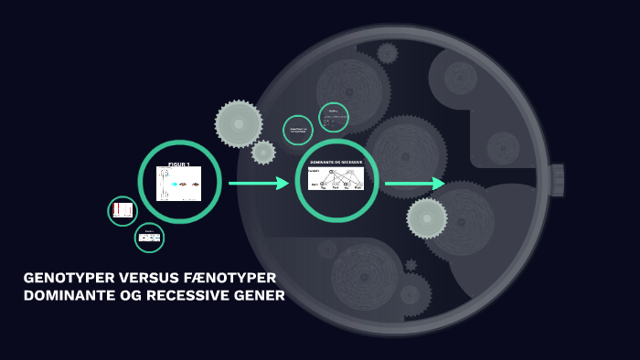GENOTYPER VERSUS FÆNOTYPER by Clara Wengenroth on Prezi