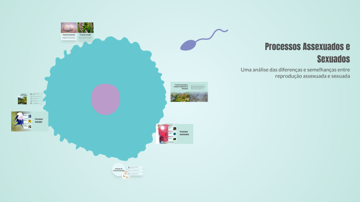 Processos Assexuados e Sexuados by Eron Senna on Prezi
