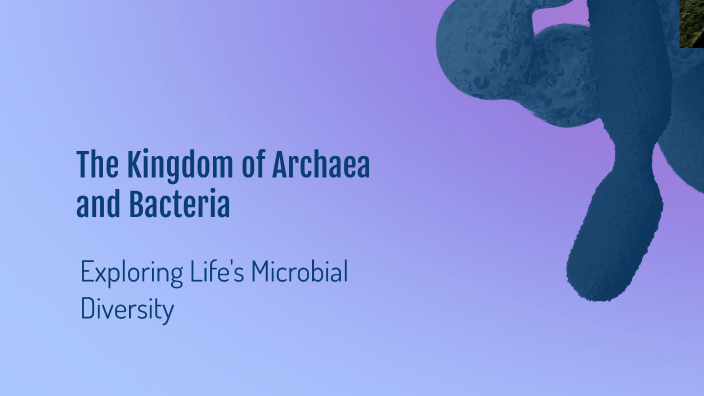 The Kingdom of Archaea and Bacteria by Amelia Tice on Prezi