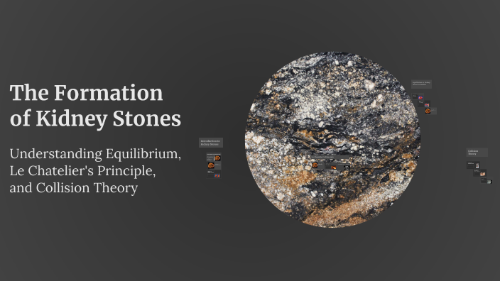 The Formation of Kidney Stones by Nishtha Saxena on Prezi