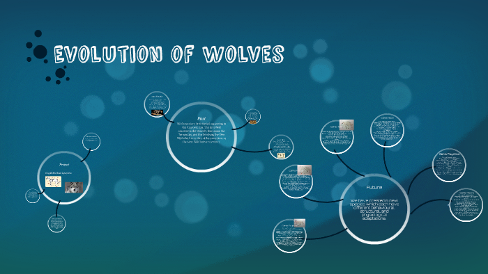 Evolution of Wolves by Maansi Shah on Prezi