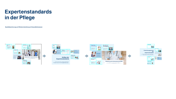 Expertenstandards in der Pflege by Elena Wilms on Prezi