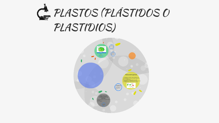 PLASTOS (PLÁSTIDOS O PLASTIDIOS) by Soledad Batalla on Prezi