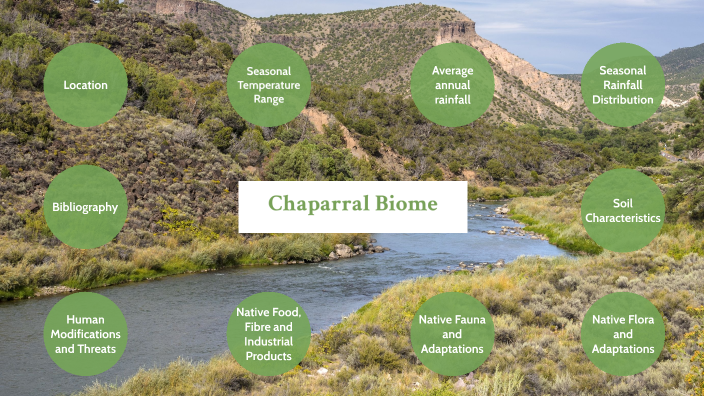 Chaparral Biome by C H on Prezi