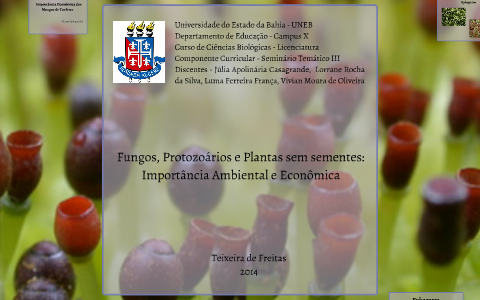 Os Musgos de Turfeiras pertecentes à classe Sphagnidae by Vivian Moura ...