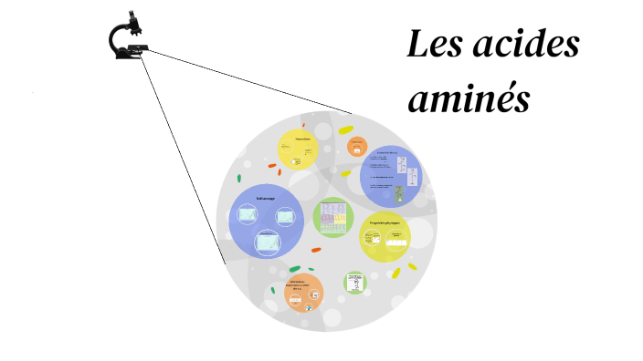 Acides aminés by on Prezi