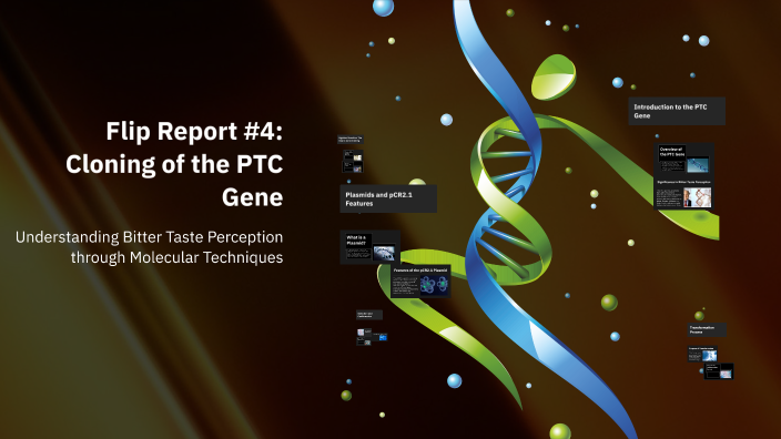 Flip Report #4: Cloning of the PTC Gene by - Amya on Prezi