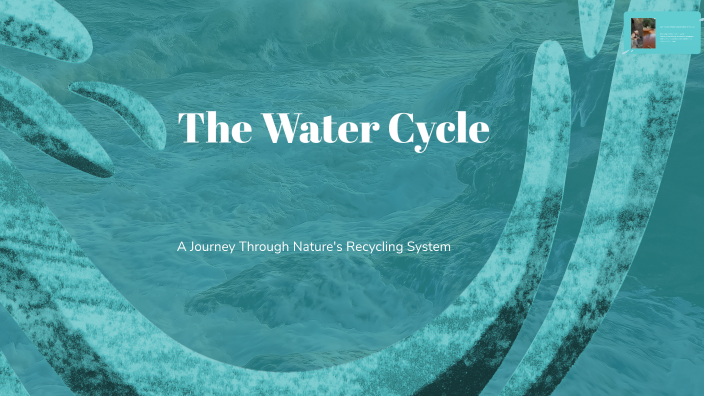Stage of the Water Cycle by June George on Prezi