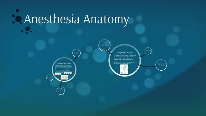 Anesthesia Anatomy by Christian Smith