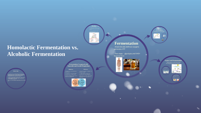 Homolactic Fermentation vs. Alcoholic Fermentation by Timothy Cushman ...