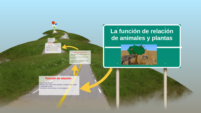 La funcion de relacion de animales y plantas by sito sainz pelayo on Prezi