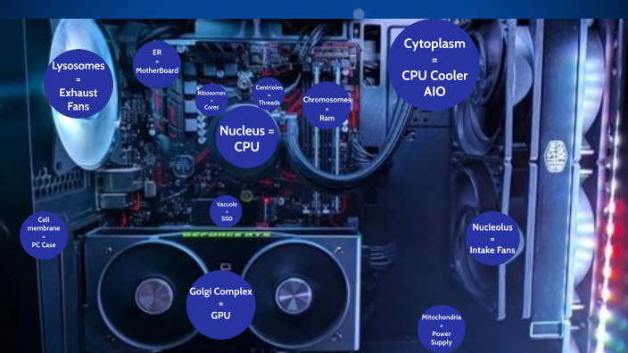 An Animal Cell is like a Computer by Noe Sarmiento on Prezi