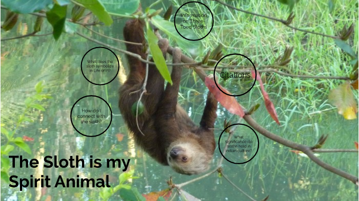 Spirit Animal Project by Faith Weaver on Prezi