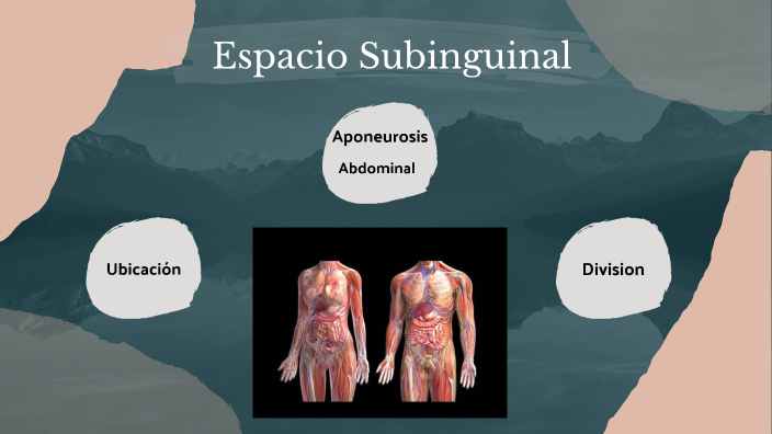 Espacio subinguinal by catherina Schulz on Prezi