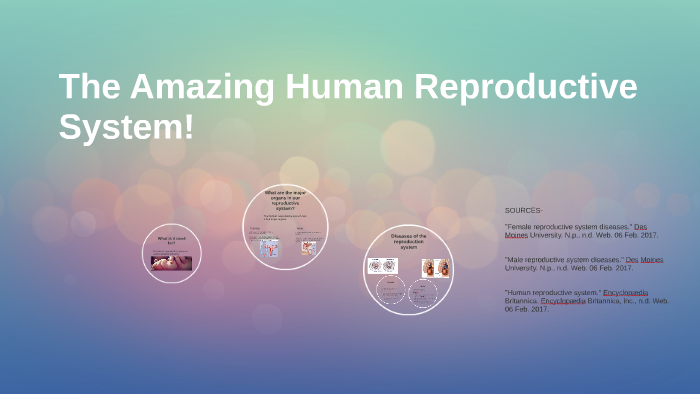 The Amazing Human Reproductive System! by Brantley Rockwell on Prezi