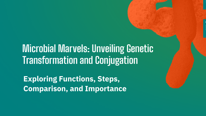 Microbial Marvels: Unveiling Genetic Transformation and Conjugation by Nixitha Boga on Prezi