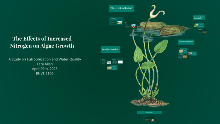 The Effect of Increased Nitrogen Levels on Algae Growth in Water Bodies ...