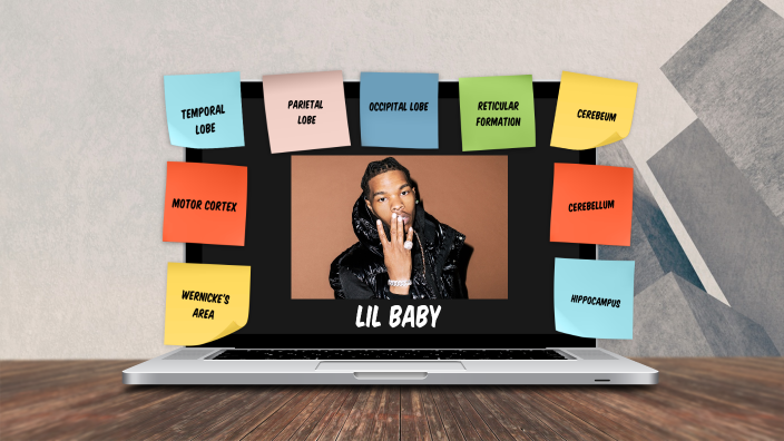 Celebrity Brain Psychology Project by Shenaejah Beckford on Prezi