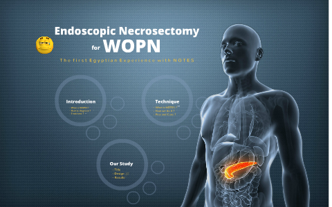 Endoscopic Necrosectomy by Mohamed Abdelhafez on Prezi