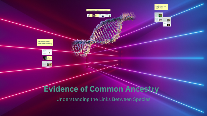 Evidence of Common Ancestry by Jamal bady on Prezi